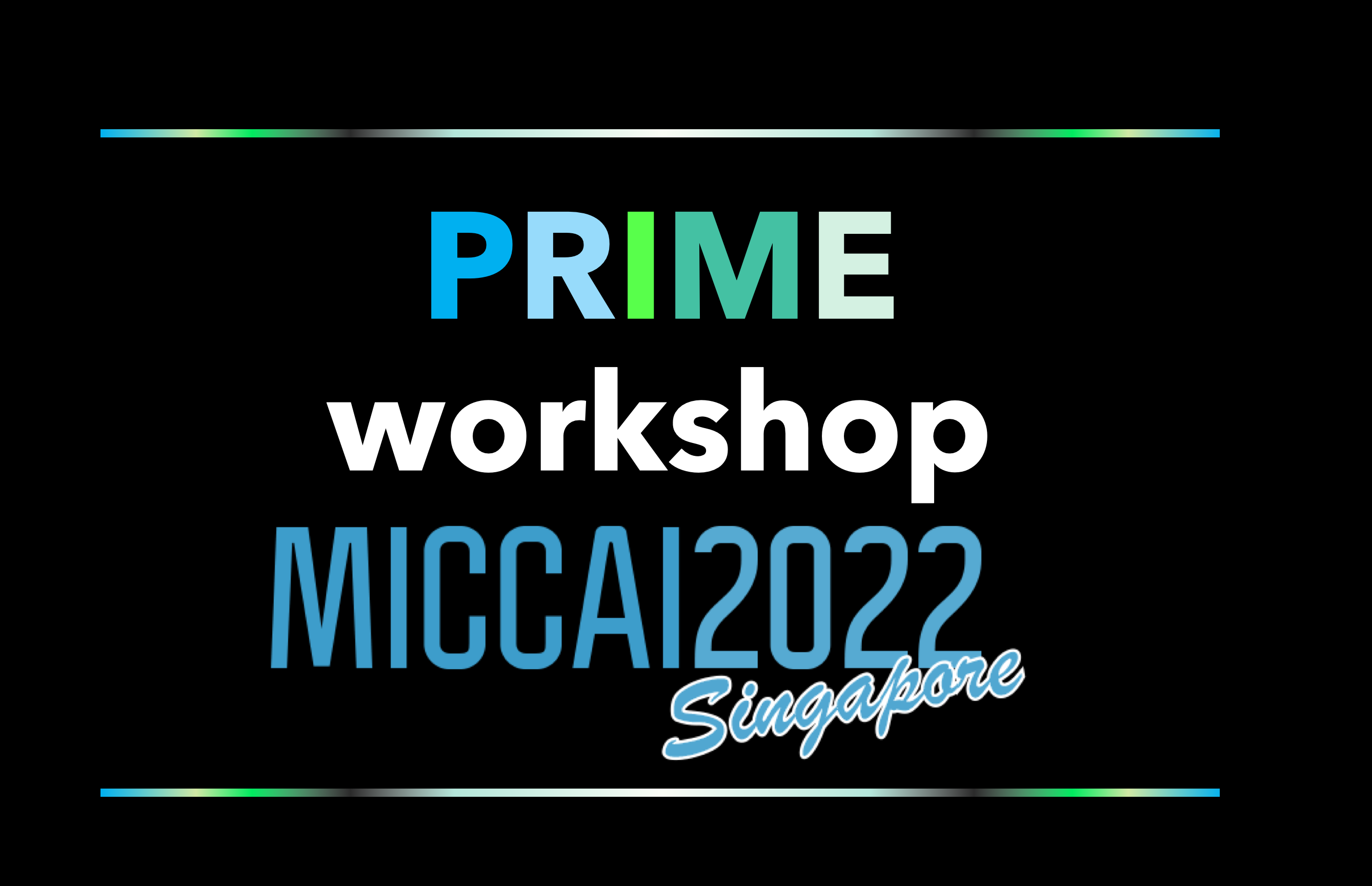 PRIME MICCAI 2022 - Web